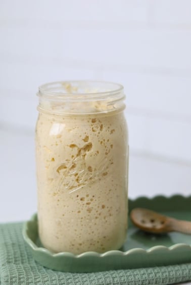 Sourdough Starter Tips and FAQ Archives - Page 4 of 4 - The Pantry Mama